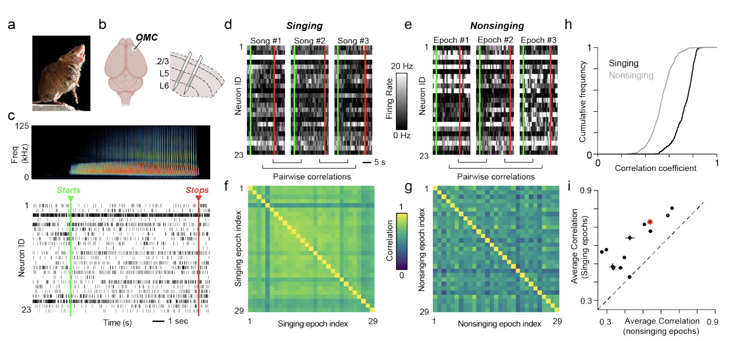 Neural dynamics in the rodent motor cortex enables flexible control of vocal timing