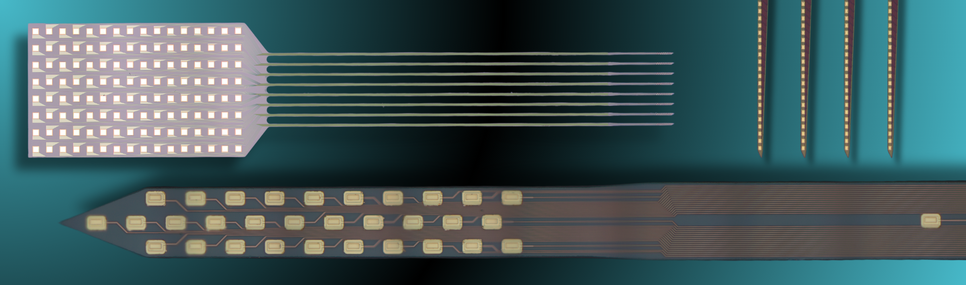 Product Page: Silicon