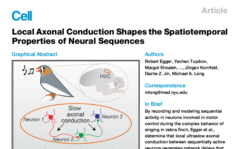 Case Study: Local Axonal Conduction Shapes the Spatiotemporal Properties of Neural Sequences